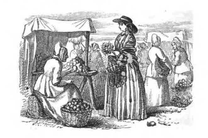 High Street 100 Years Ago | Priaulx Library