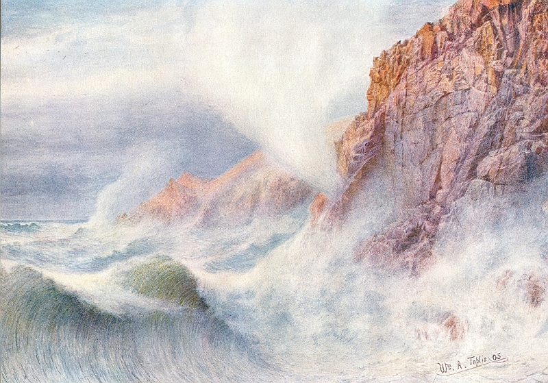 The Book of Sark | Priaulx Library